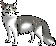 Hazeltail | Warriors: Echoes of the War Wikia | Fandom