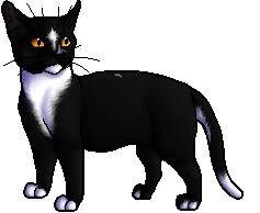 Toadstep | Warriors: Echoes of the War Wikia | Fandom