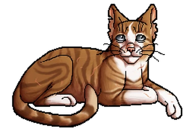 how do warrior cats mate