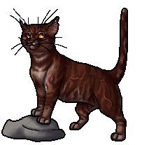 Tigerstar | Warriors: Echoes of the War Wikia | Fandom