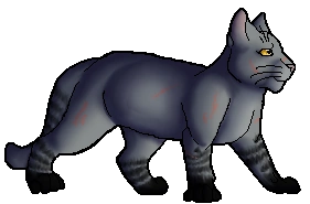 Shrew | Warriors: Echoes of the War Wikia | Fandom