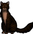 Bramblestar | Warriors - Erin Hunter Wiki | Fandom