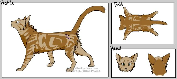 Tawnystep | Warriors: Fan Characters Wiki | Fandom