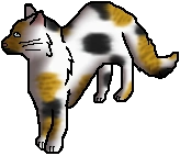 Dapplestar | Warriors Fan-Fiction Area Wikia | Fandom