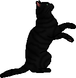 Molepaw | Warriors Fan-Fiction Area Wikia | Fandom