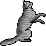 Springleap | Warriors Fan-Fiction Area Wikia | Fandom