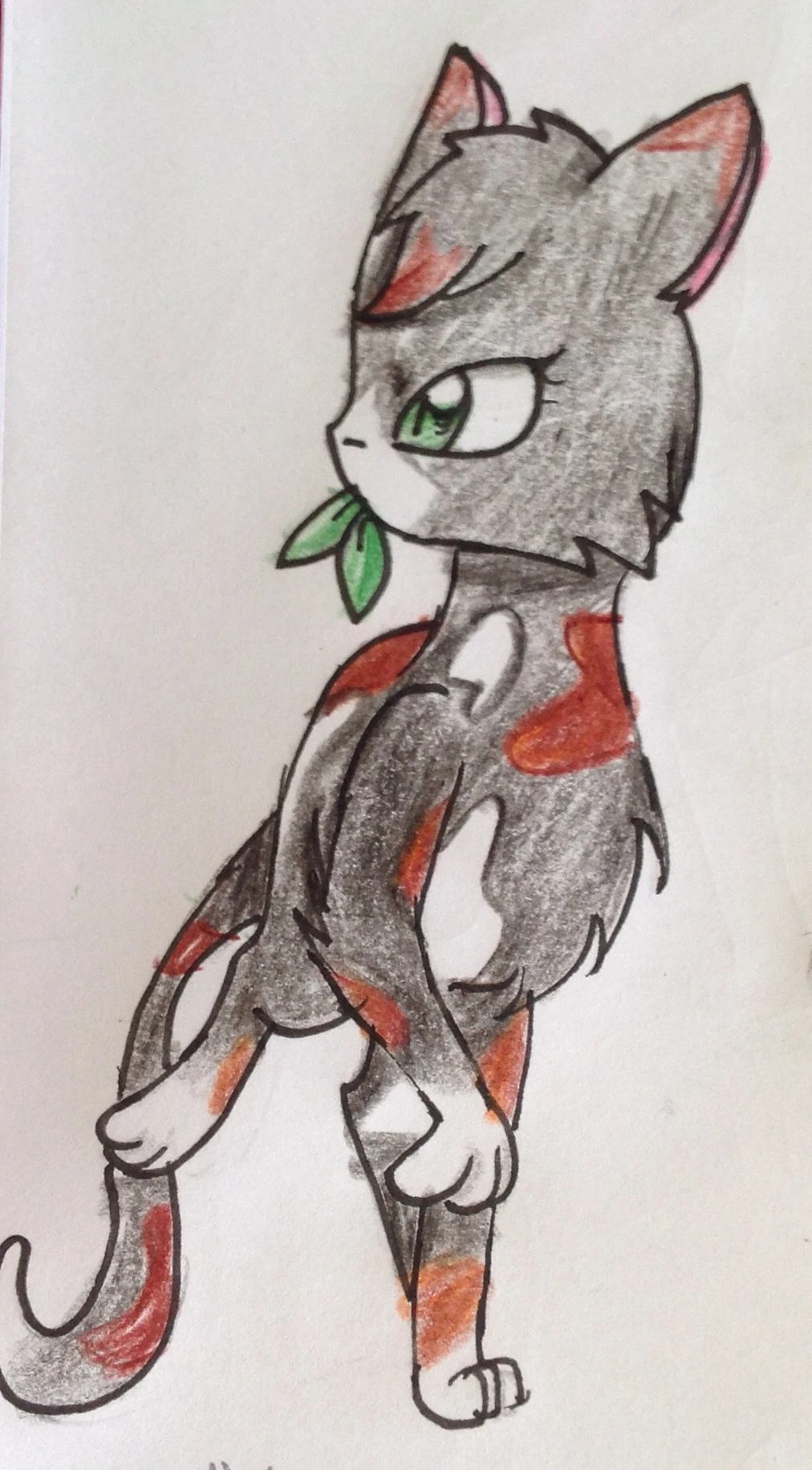 Fernfang | Warriors Fanon Cats Wiki | Fandom