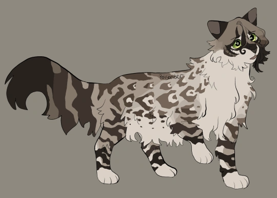 Brindleface | Warriors Gallery Wiki | Fandom