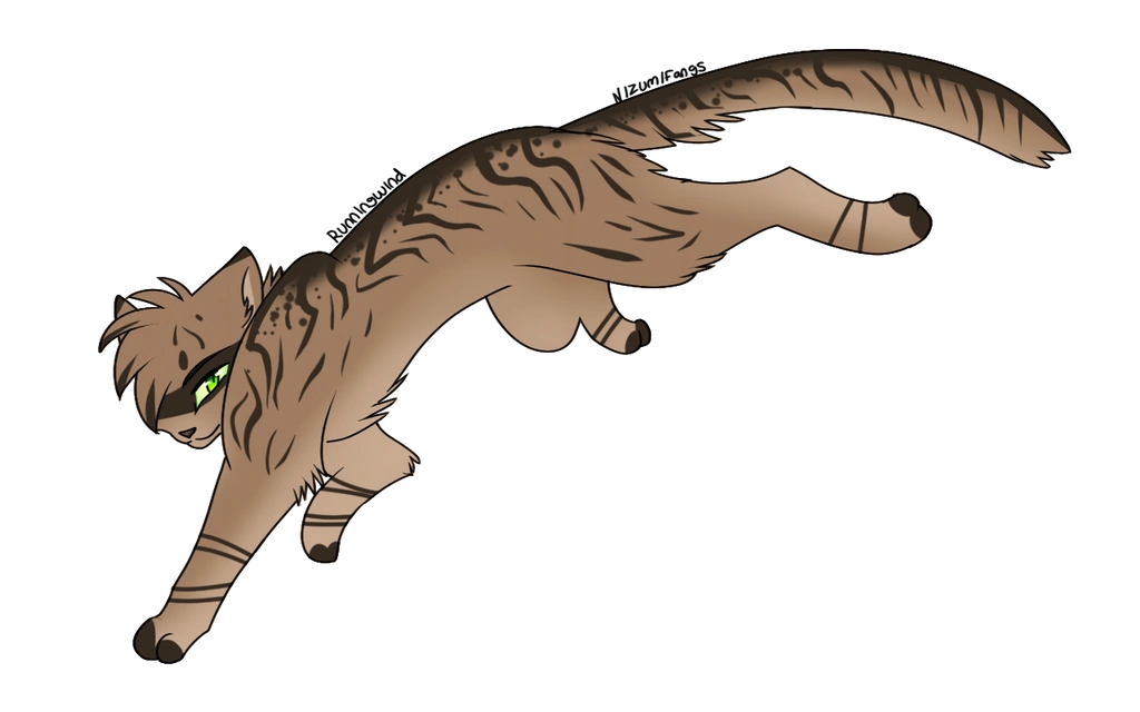 Runningwind | Warriors Gallery Wiki | Fandom