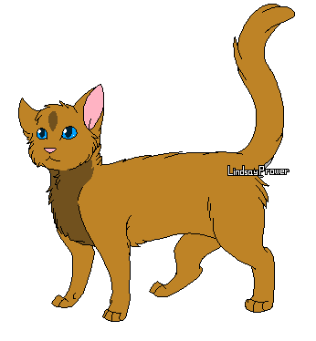 Swallowfang | Warriors Moon Clan Wikia | Fandom