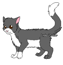 Jaypaw | Warriors Moon Clan Wikia | Fandom