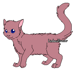 Rosepaw | Warriors Moon Clan Wikia | Fandom