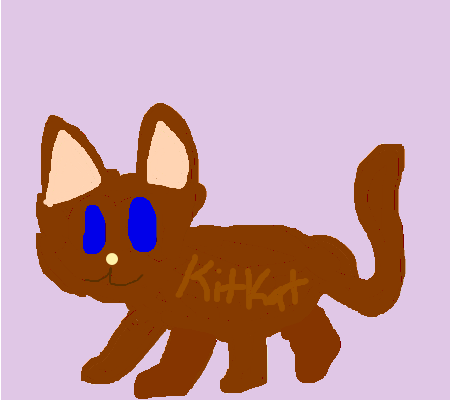 Kitkat | Warriors New Clans Wiki | Fandom