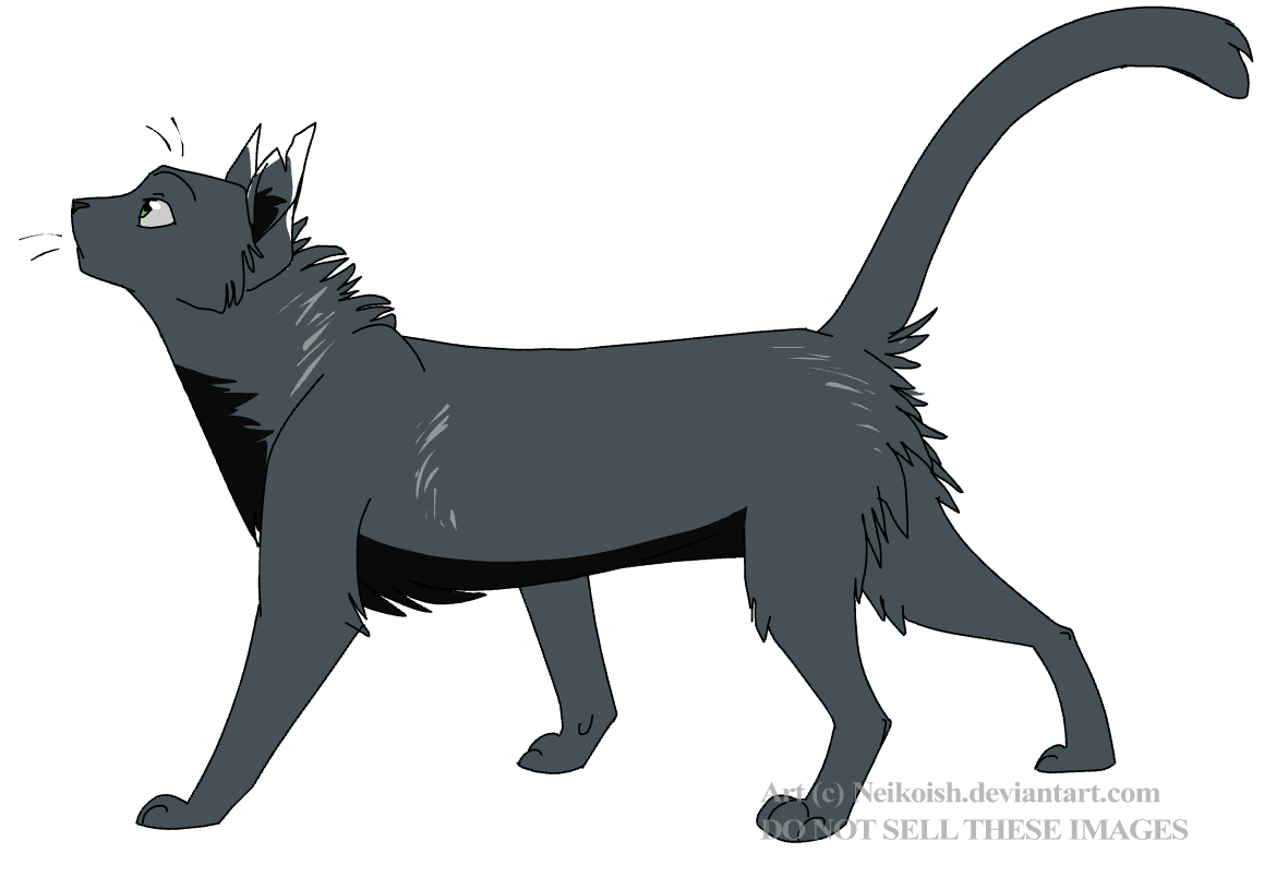 Echowhistle (TC) | Warriors OC's Wiki | Fandom