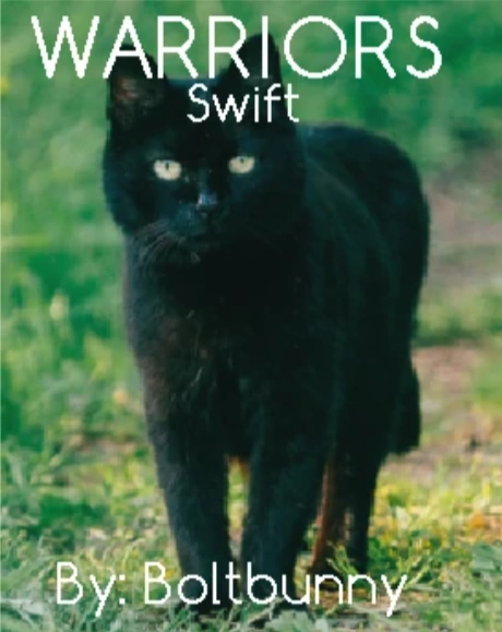 Category:Swift characters | Warriors OC's Wiki | Fandom