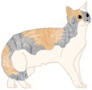 Willow (TL) | Warriors OC's Wiki | Fandom