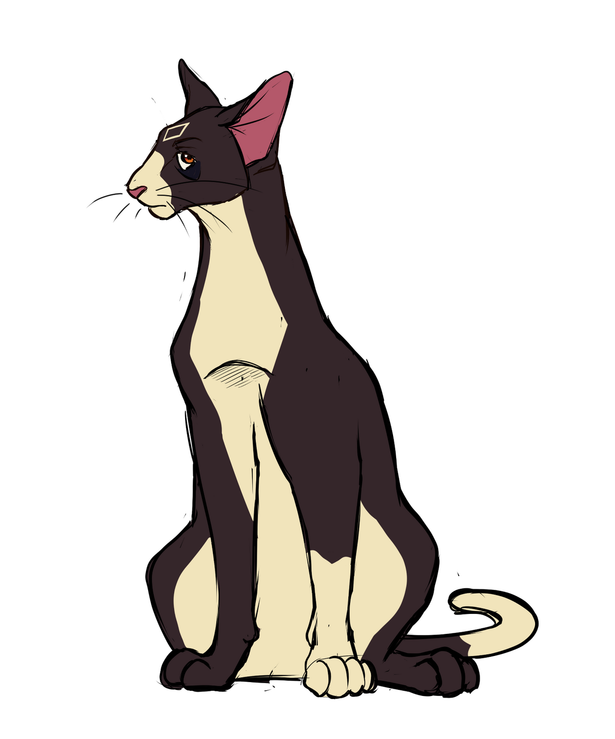 Crowfrost | Warriors OC's Wiki | Fandom