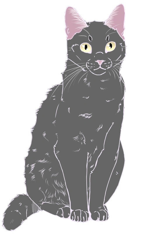 Beenose (BG) | Warriors OC's Wiki | Fandom