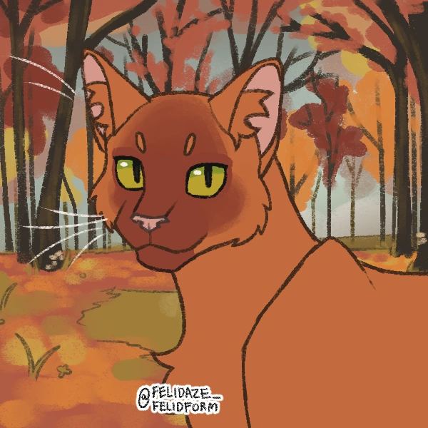 Swiftspot | Warriors OC's Wiki | Fandom