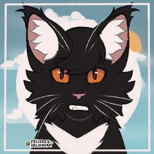 Midnightwish (FS) | Warriors OC's Wiki | Fandom