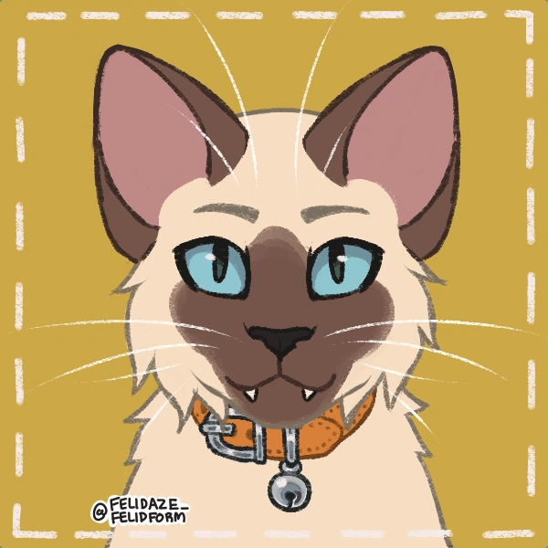 Smokey | Warriors OC's Wiki | Fandom