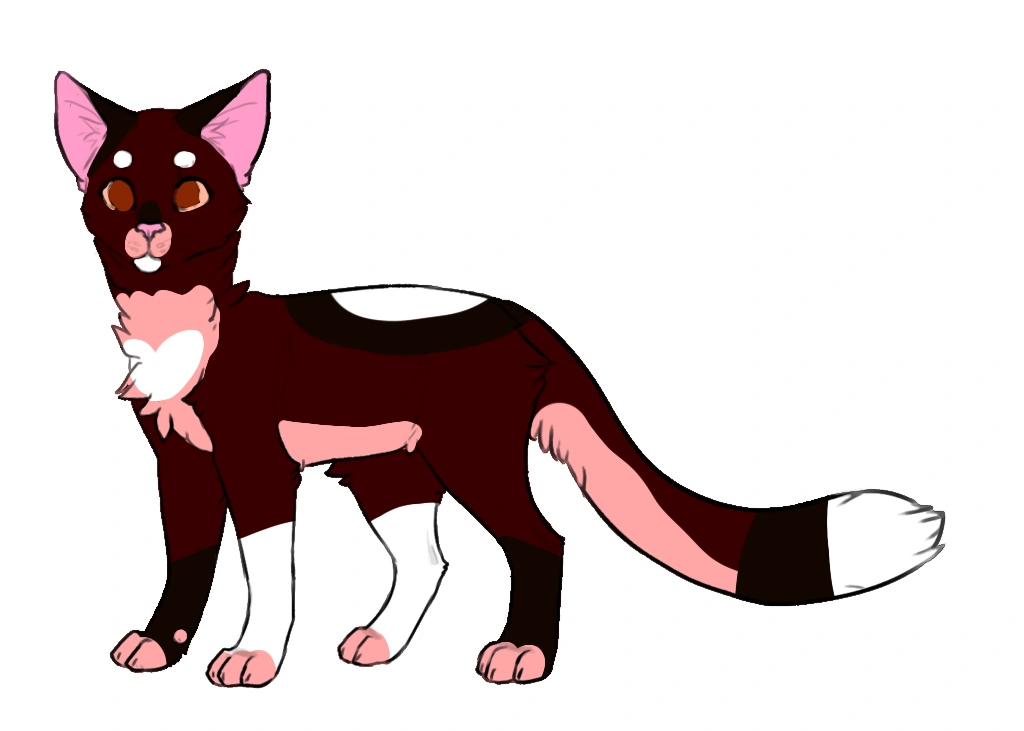 Mapleleap | Warriors OC's Wiki | Fandom