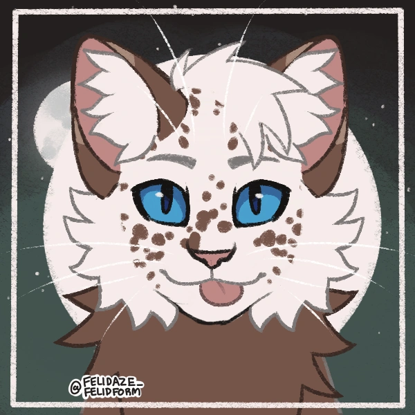 Salmonfrost (FS) | Warriors OC's Wiki | Fandom