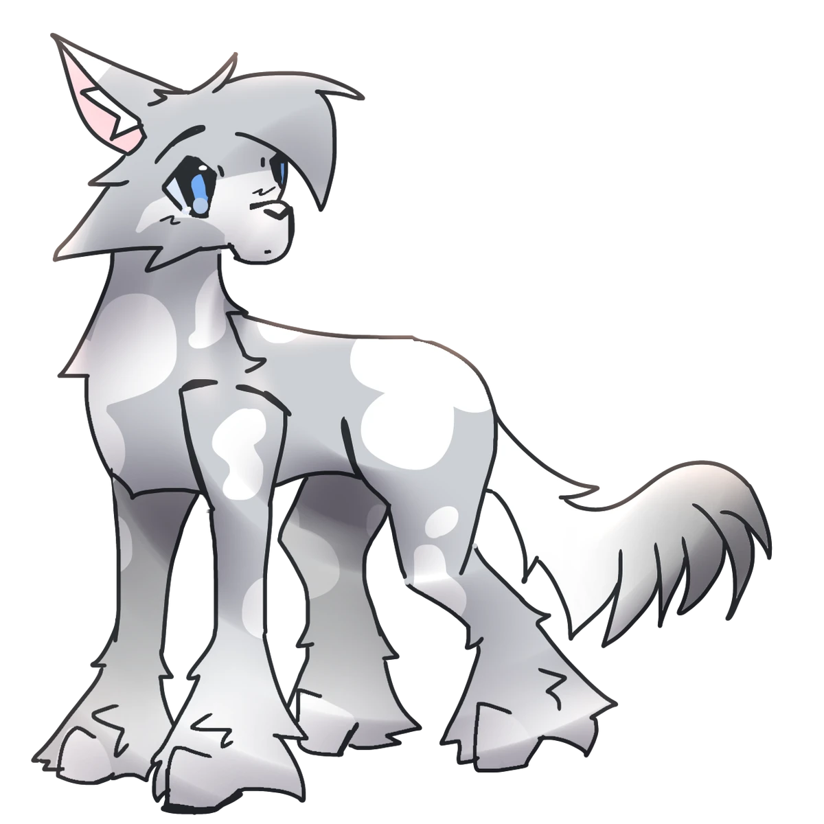 Bluebellfur (TC) | Warriors OC's Wiki | Fandom