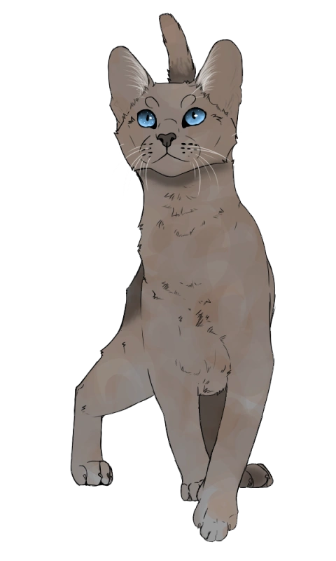 Hollypaw (DS) | Warriors OC's Wiki | Fandom