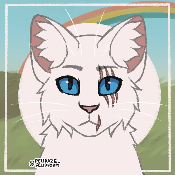 Wavepelt (FS) | Warriors OC's Wiki | Fandom