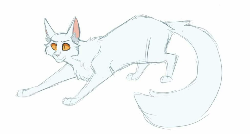 Frostheart | Warriors OC's Wiki | Fandom