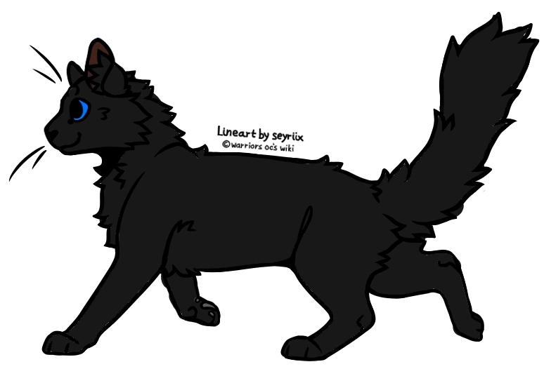 Nightpaw (SC) | Warriors OC's Wiki | Fandom