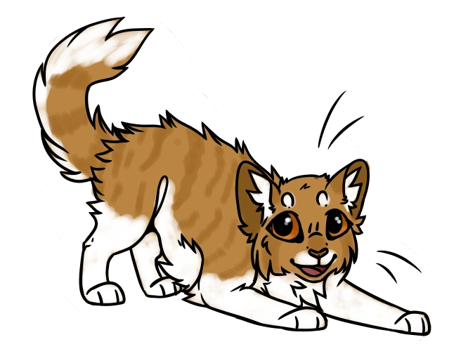 Sparkkit | Warriors OC's Wiki | Fandom