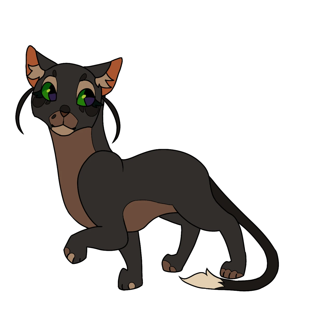 Velvetfreckle (DF) | Warriors OC's Wiki | Fandom