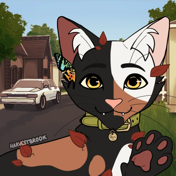 Patch (CWS and BM) | Warriors OC's Wiki | Fandom