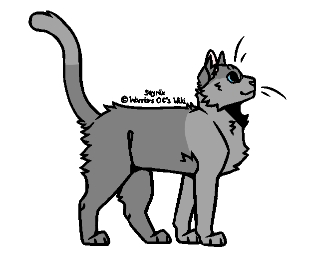 Cindershade | Warriors OC's Wiki | Fandom