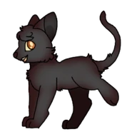 Nightdust | Warriors OC's Wiki | Fandom