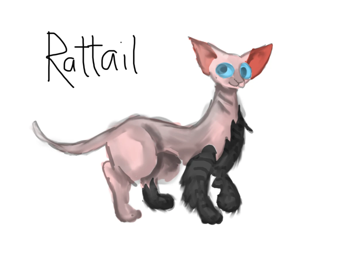 Rattail | Warriors OC's Wiki | Fandom