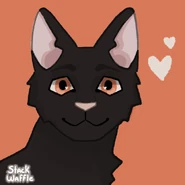 Nightdust | Warriors OC's Wiki | Fandom