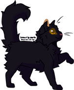 Nightstar (DN) | Warriors OC's Wiki | Fandom