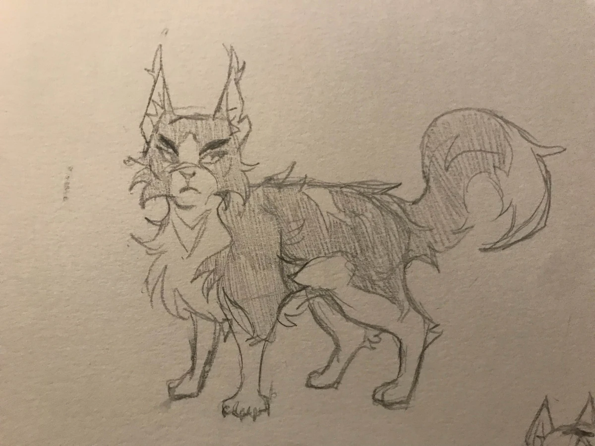 Cloakstar | Warriors OC's Wiki | Fandom