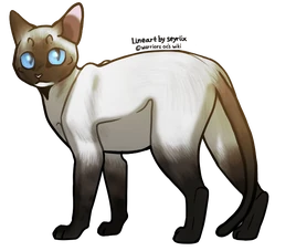 Hawkfrost | Warriors OC's Wiki | Fandom