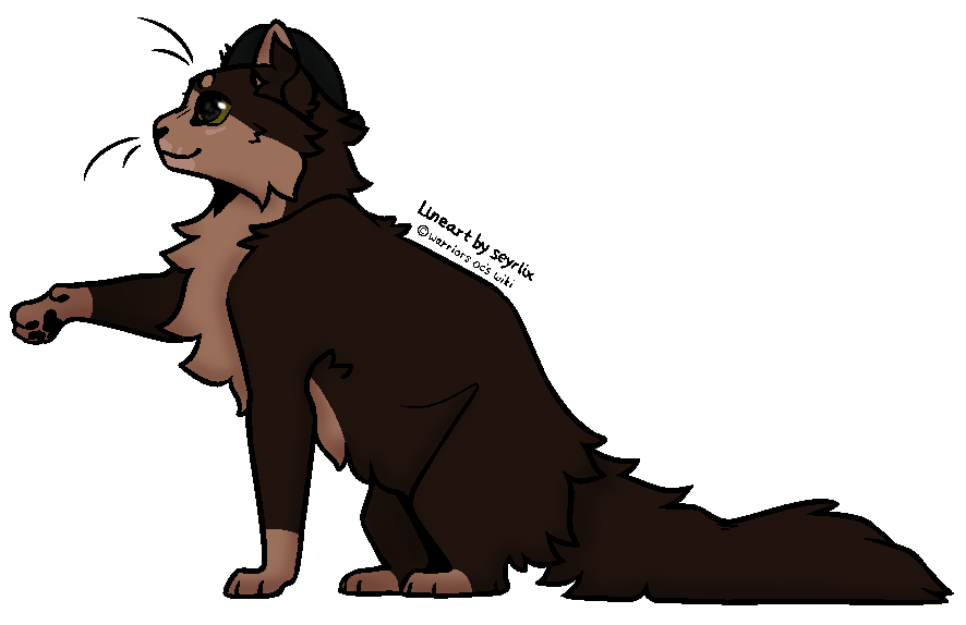 Duskwatcher | Warriors OC's Wiki | Fandom