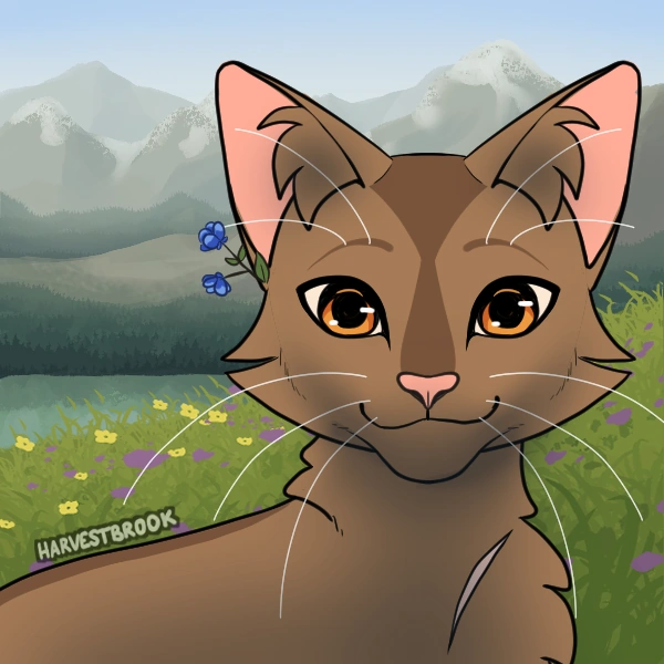 Seaglow | Warriors OC's Wiki | Fandom