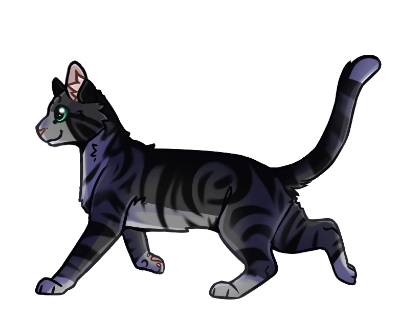 Nightpaw | Warriors OC's Wiki | Fandom