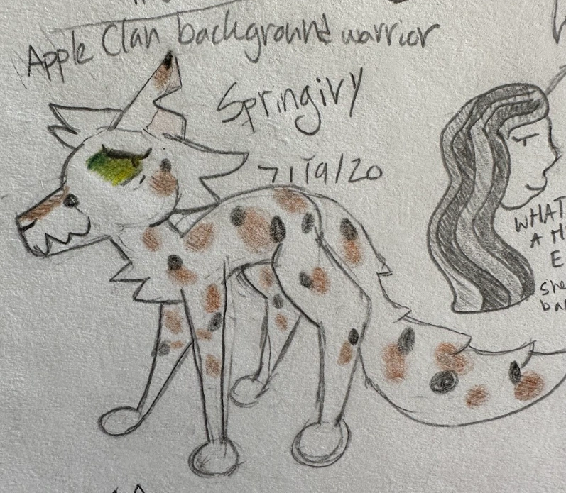 Springivy | Warriors OC's Wiki | Fandom