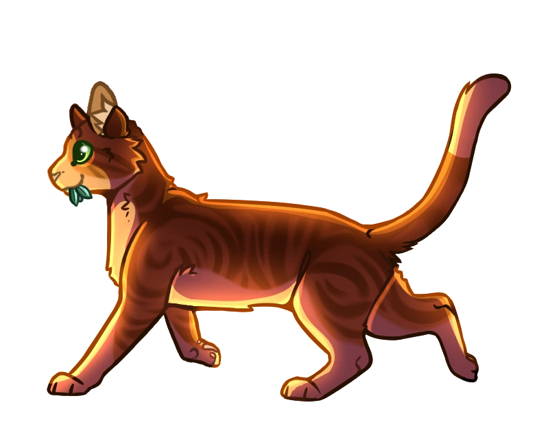 Honeypaw (HS) | Warriors OC's Wiki | Fandom