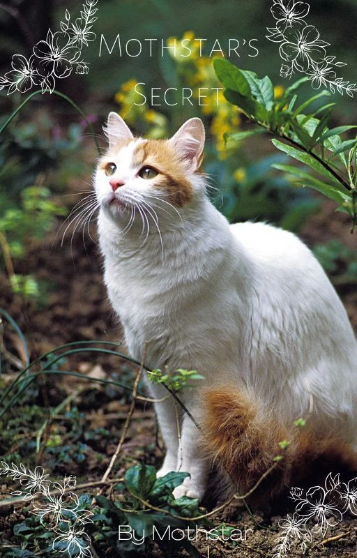 Mothstar's Secret | Warriors OC's Wiki | Fandom