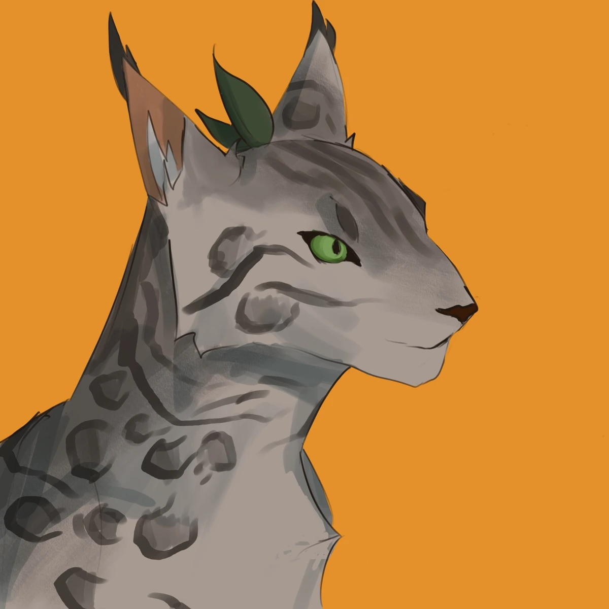 Leopardleaf (BH) | Warriors OC's Wiki | Fandom