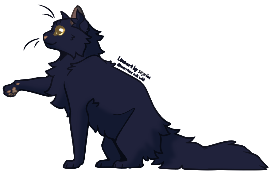 Duskspirit | Warriors OC's Wiki | Fandom